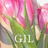 GIL